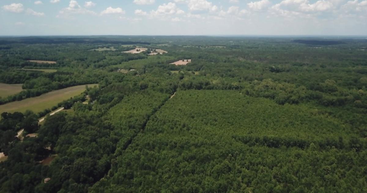 PBS News Hour | The story of American poverty, as told by one Alabama ...