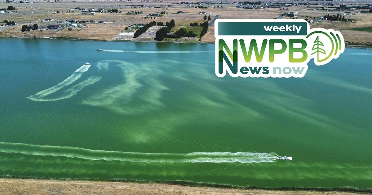 NWPB Weekly News Now | June 14, 2024 | Season 2024 | PBS