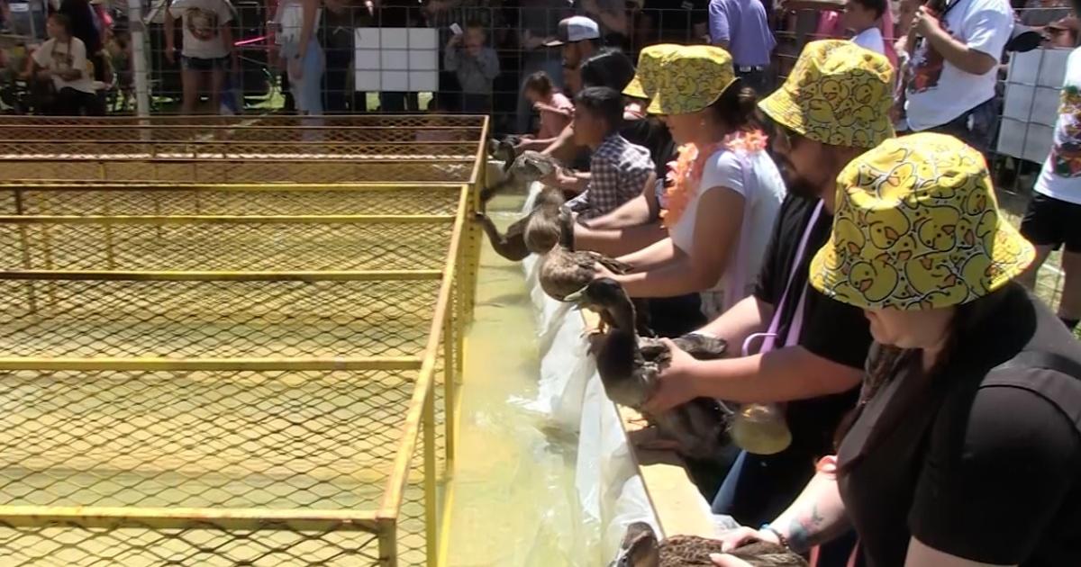 Trails of Enchantment | 45th Annual Deming Duck Race | Season 2024 ...