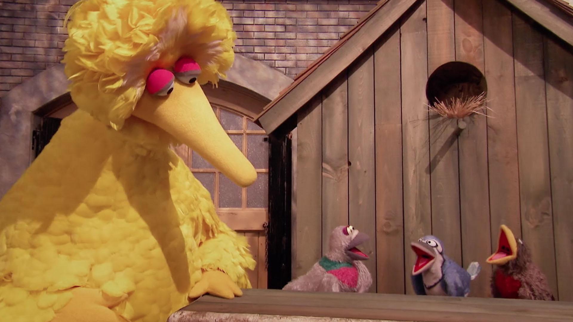 Chamki Visits Sesame Street | Rocky Mountain PBS