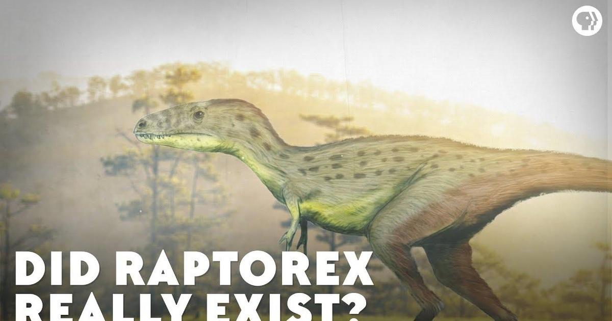Eons | Did Raptorex Really Exist? | Season 1 | Episode 58 | PBS