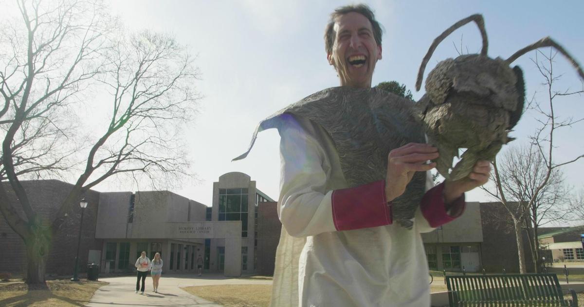 Wisconsin Life | UW-La Crosse entomologist's 'epiphany' reveals our ...