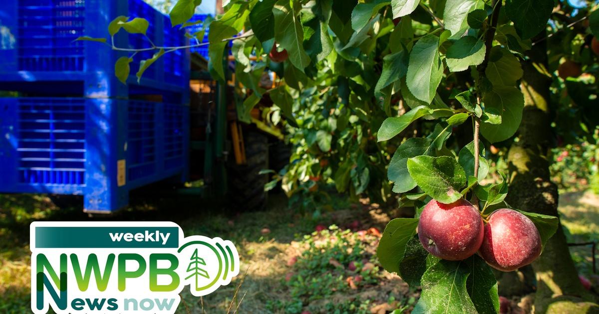 NWPB Weekly News Now | "Harvest at a Crossroads" in the NW and Canadian ...