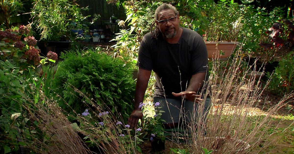 Virginia Home Grown | Adding Native Plants to a Garden Bed | Season 24 ...