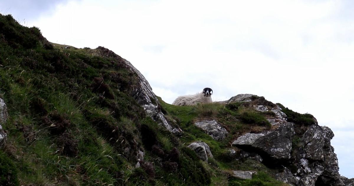 Ireland With Michael | North by Northwest | Season 6 | PBS