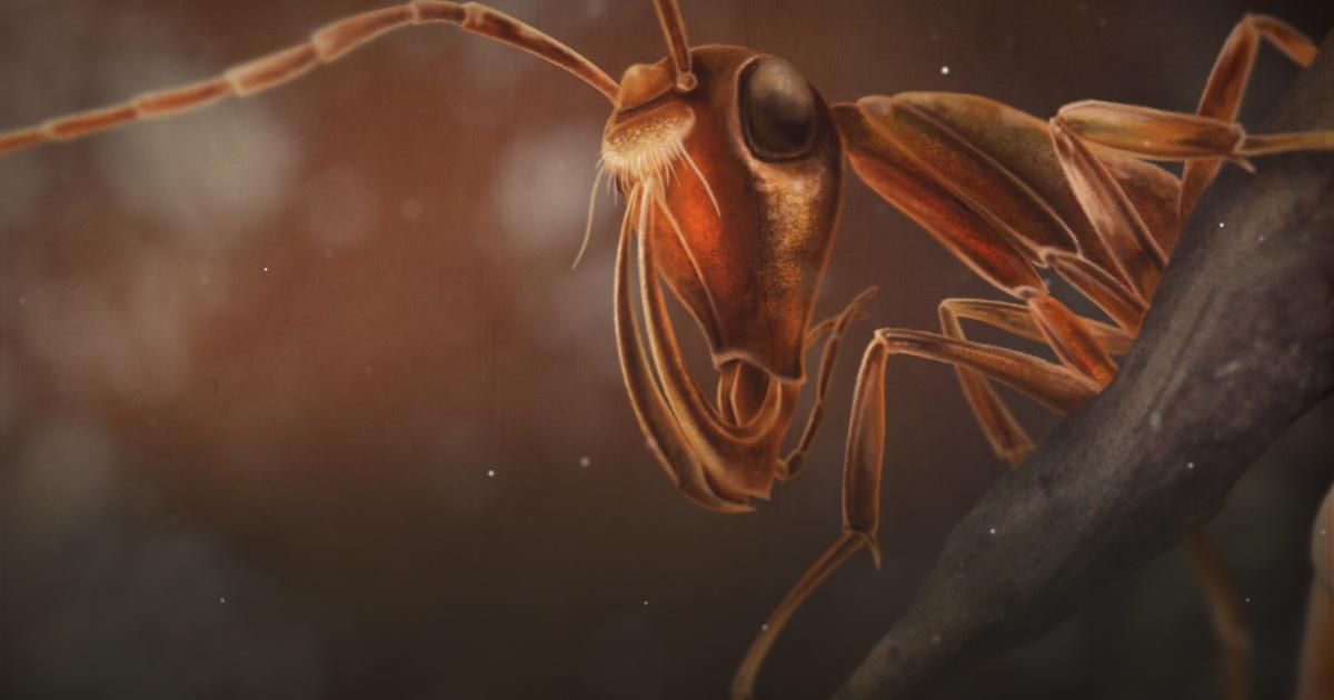 Eons | The Reign of the Hell Ants | Season 3 | Episode 32 | PBS