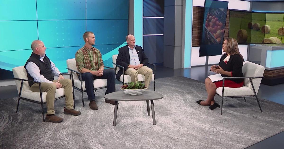 VPM News Focal Point | In Focus | Chris Mullins, Brandon Moyer & Joseph ...