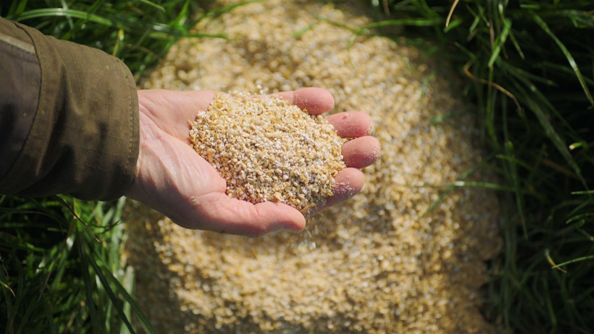 2023 Nominees: Fix our Climate | The Earthshot Prize | THIRTEEN - New ...