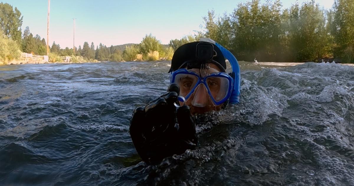 Oregon Field Guide | Loot the Deschutes, Crowberry Bog, Adventure Cats ...