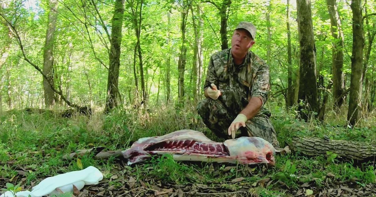 Kentucky Afield | Trapping Wood Ducks; Deboning a Deer | Season 39 ...