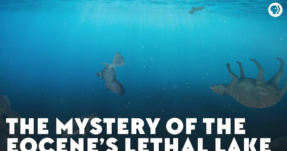 Eons | The Mystery of the Eocene’s Lethal Lake | Season 1 | Episode 50 ...