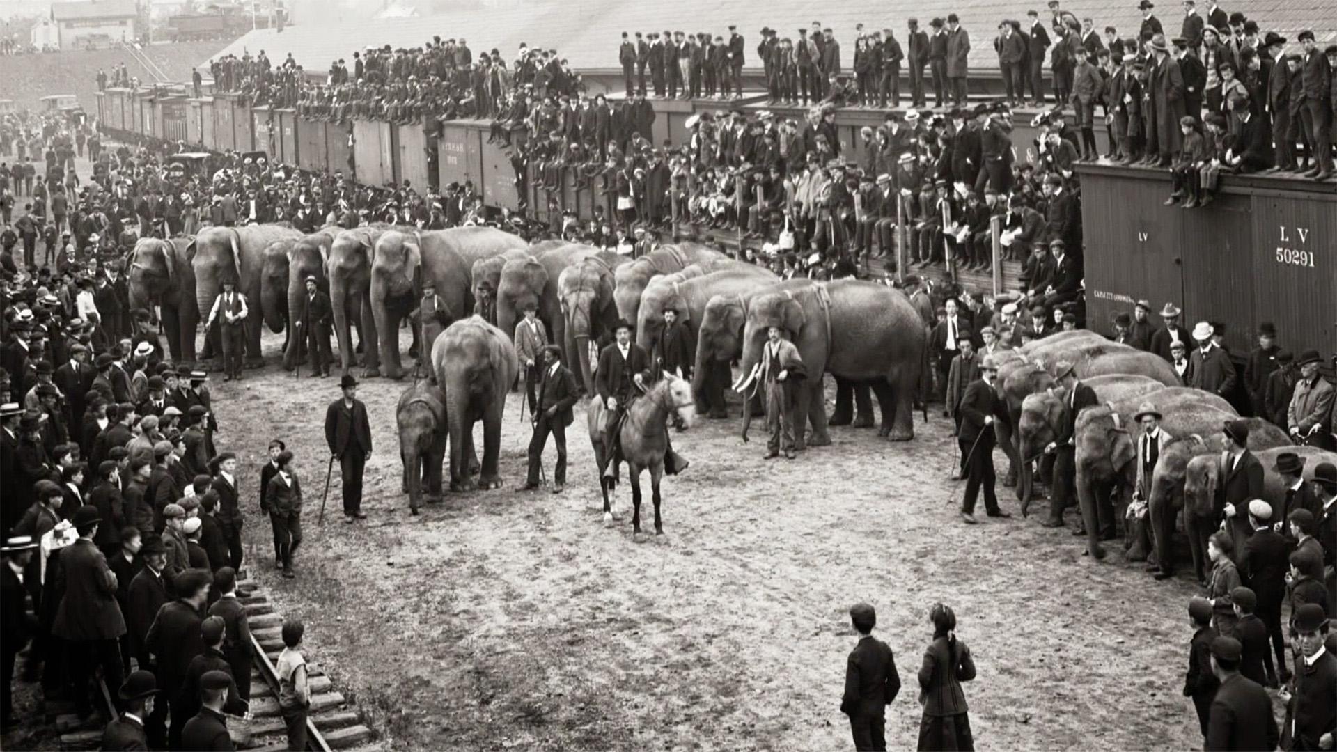 Circus: American Experience - The Circus, Part 1 - Twin Cities PBS Circus: American Experience - The Circus, Part 1 - Twin Cities PBS