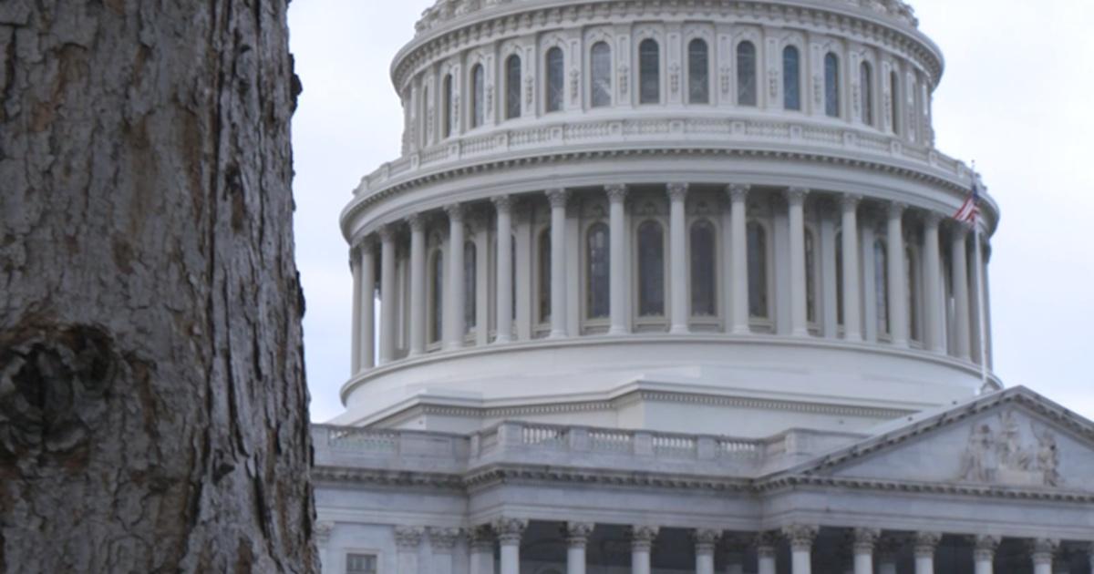 PBS39 News Reports | Susan Wild Swearing-in | Season 2018 | PBS