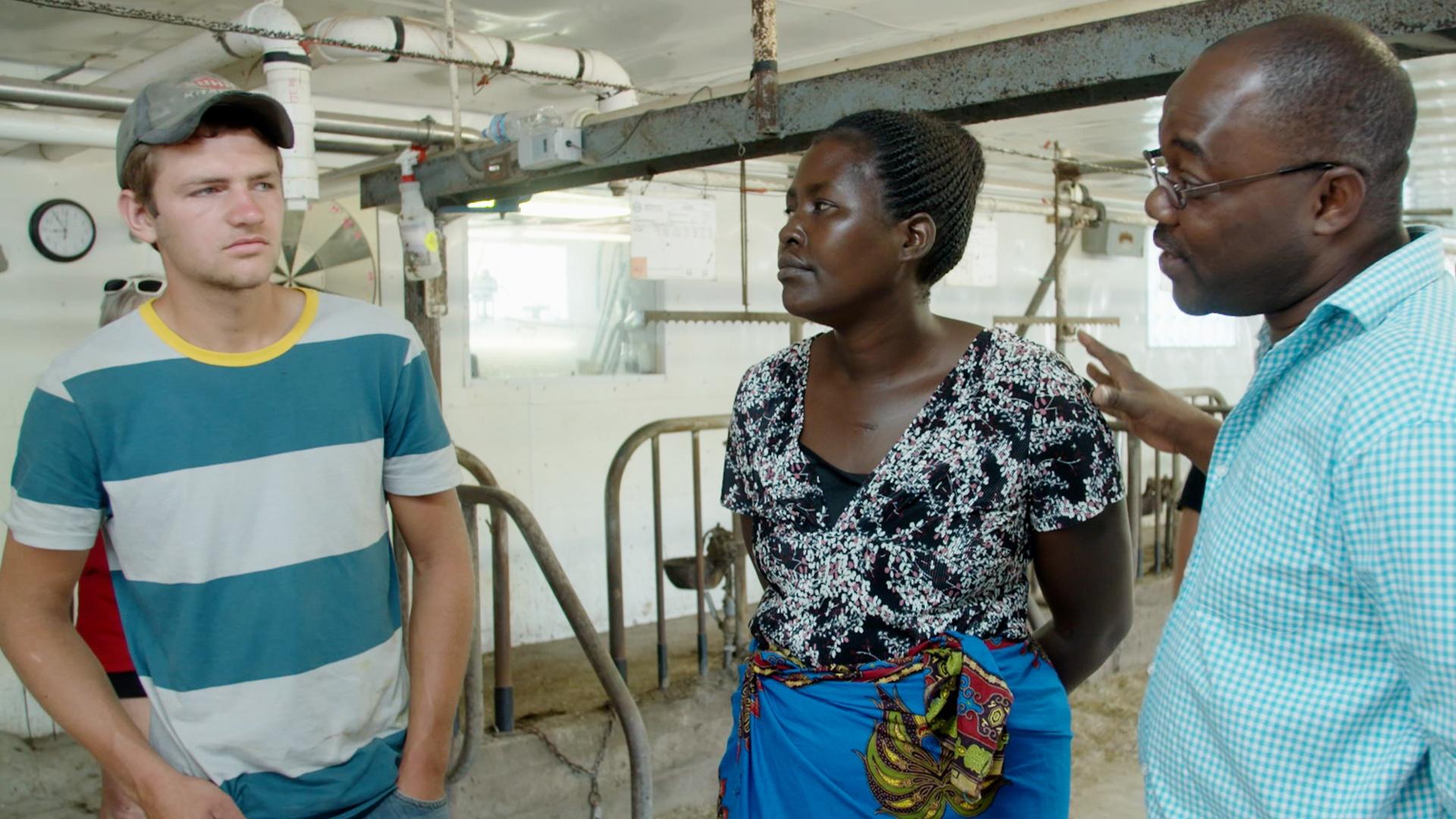 Can a Message From Malawi Change a Wisconsin Farmer’s Mind? | The Ants & the Grasshopper: The ...