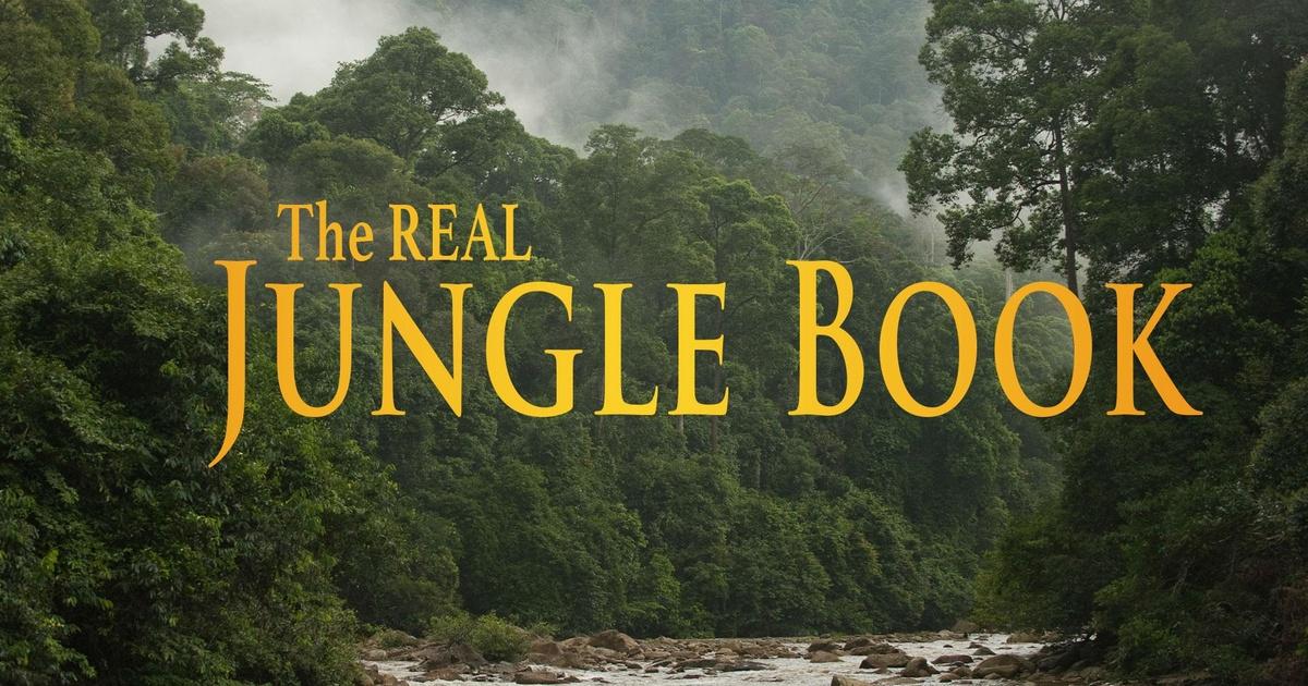 The Real Jungle Book | PBS