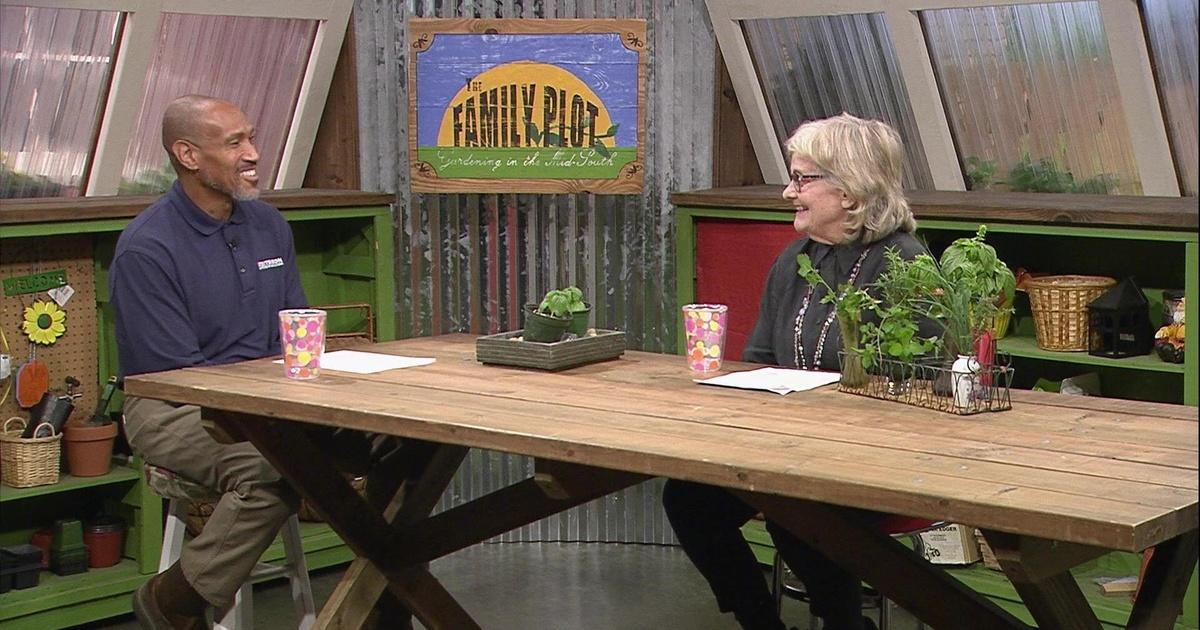The Family Plot | Growing Herbs Indoors & Planting Bulbs | Season 16 ...