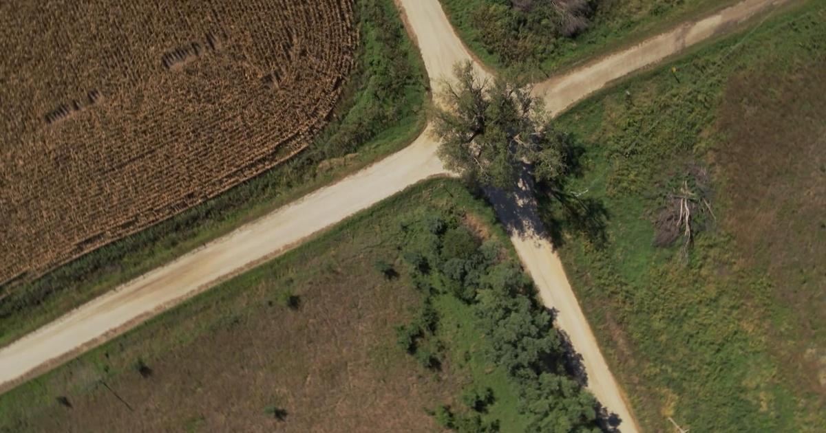 Road Trip Iowa | Tree in the Middle of the Road | Season 1 | Episode ...