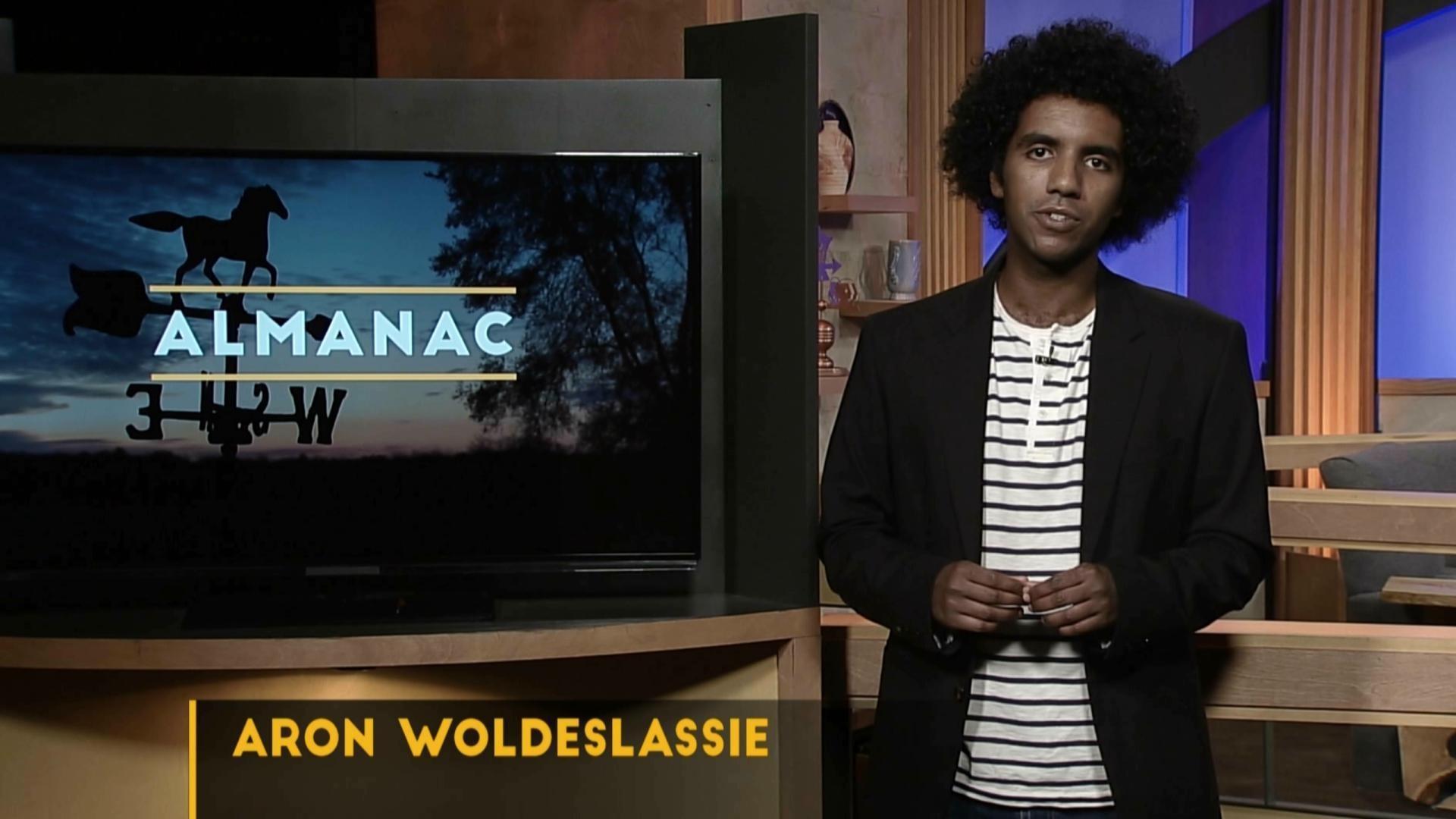 Almanac - Aron Woldeslassie essay | August 2024 | Life Goals - Twin ...