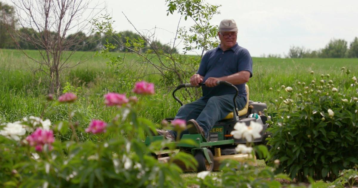 Wisconsin Life | Peony Farm | Season 9 | Episode 3 | PBS
