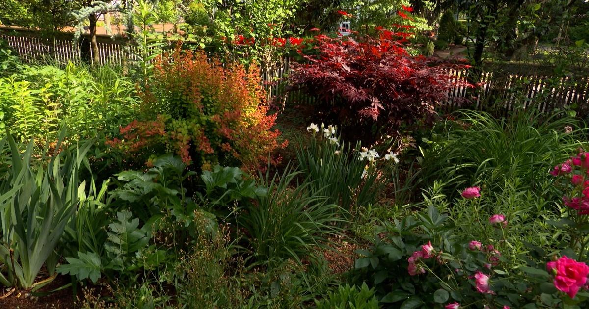 Volunteer Gardener | NWPB