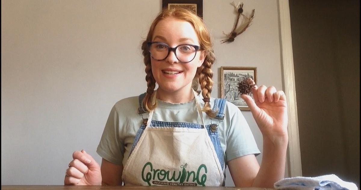 Camp TV | Seeds on the Move | Season 2021 | PBS