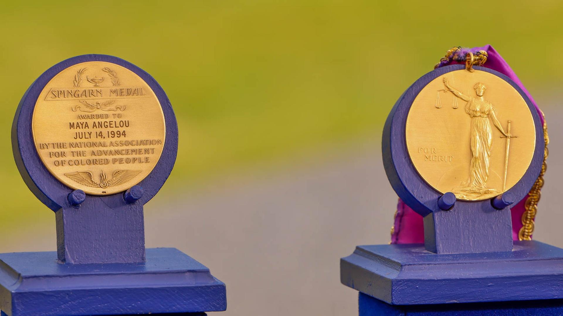 Appraisal: 1994 Maya Angelou Spingarn Awards | Antiques Roadshow ...