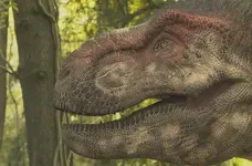 NOVA | Ice Age Footprints | Season 49 | Episode 9 | PBS