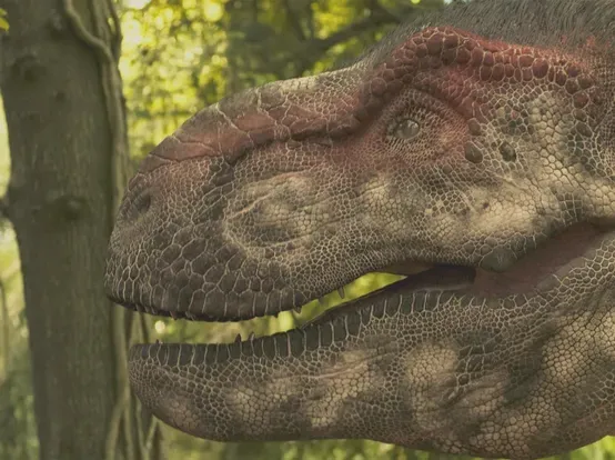 NOVA | Ice Age Footprints | Season 49 | Episode 9 | PBS