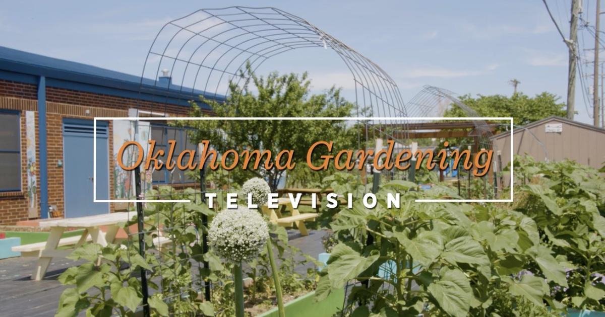 Oklahoma Gardening | Gardening for the Future on the Best of Oklahoma ...