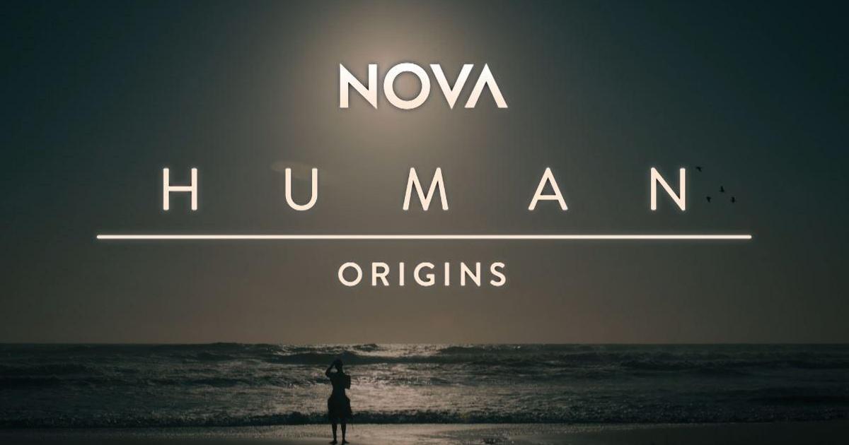 WUCF Previews | Nova: Human Origins | Preview | PBS