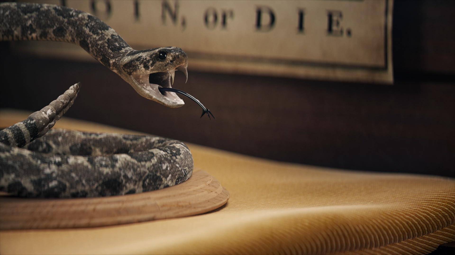 The Gadsden Flag Iconic America Wliw