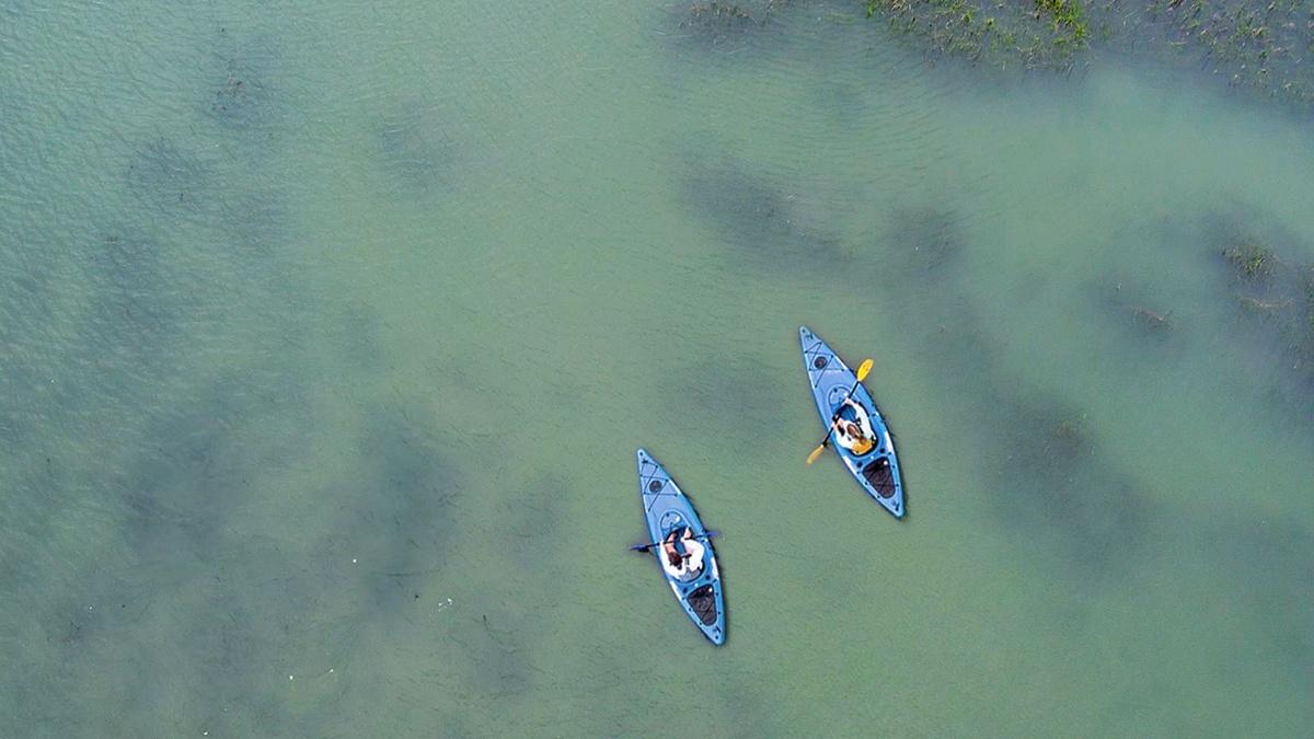 Rachel Carson Reserve Paddle Trail, Beaufort | Ten to Try | WLIW