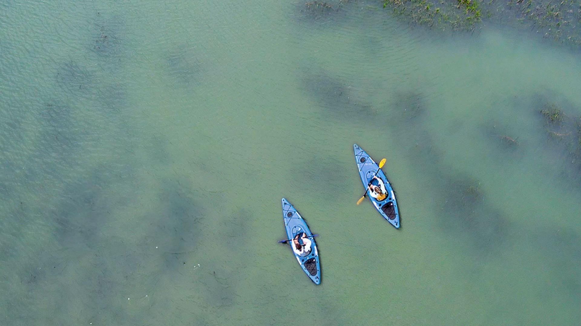 Rachel Carson Reserve Paddle Trail, Beaufort | Ten to Try | WLIW