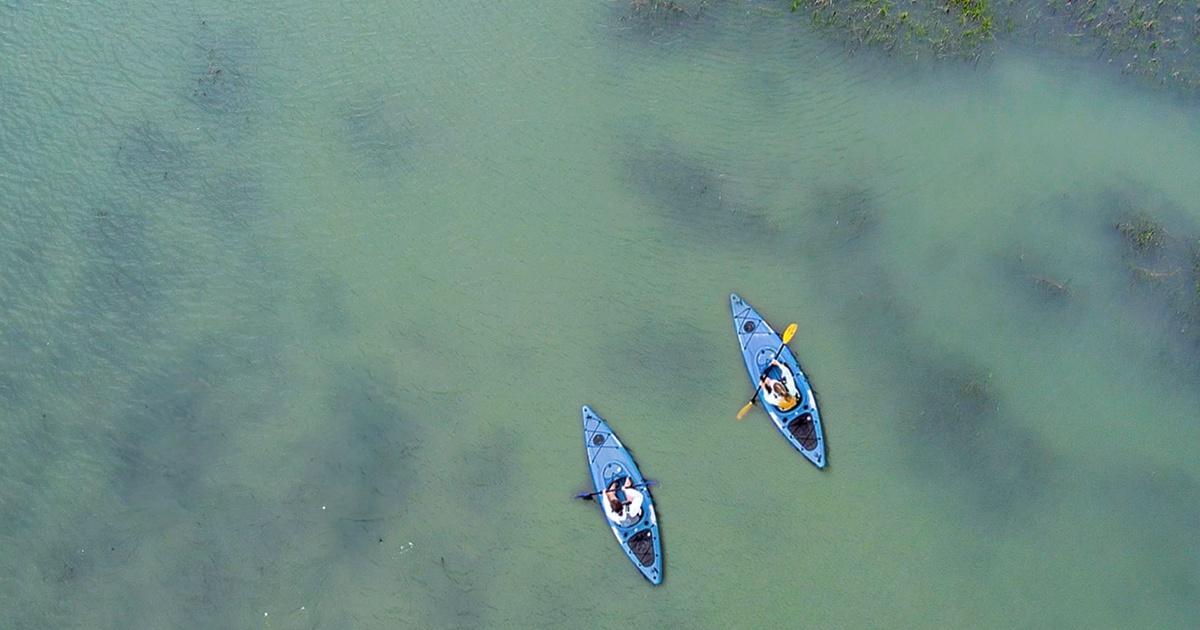 Ten to Try | Rachel Carson Reserve Paddle Trail, Beaufort | PBS