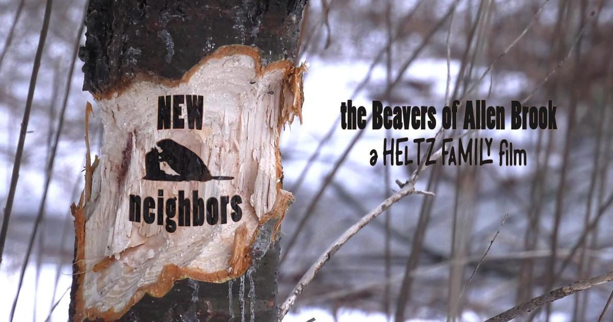 Made Here | New Neighbors: The Beavers of Allen Brook | Season 22 ...