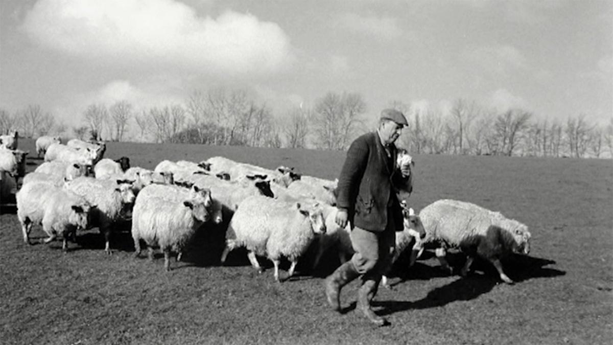 James Ravilious: A World in Photographs | ALL ARTS Documentary Selects ...