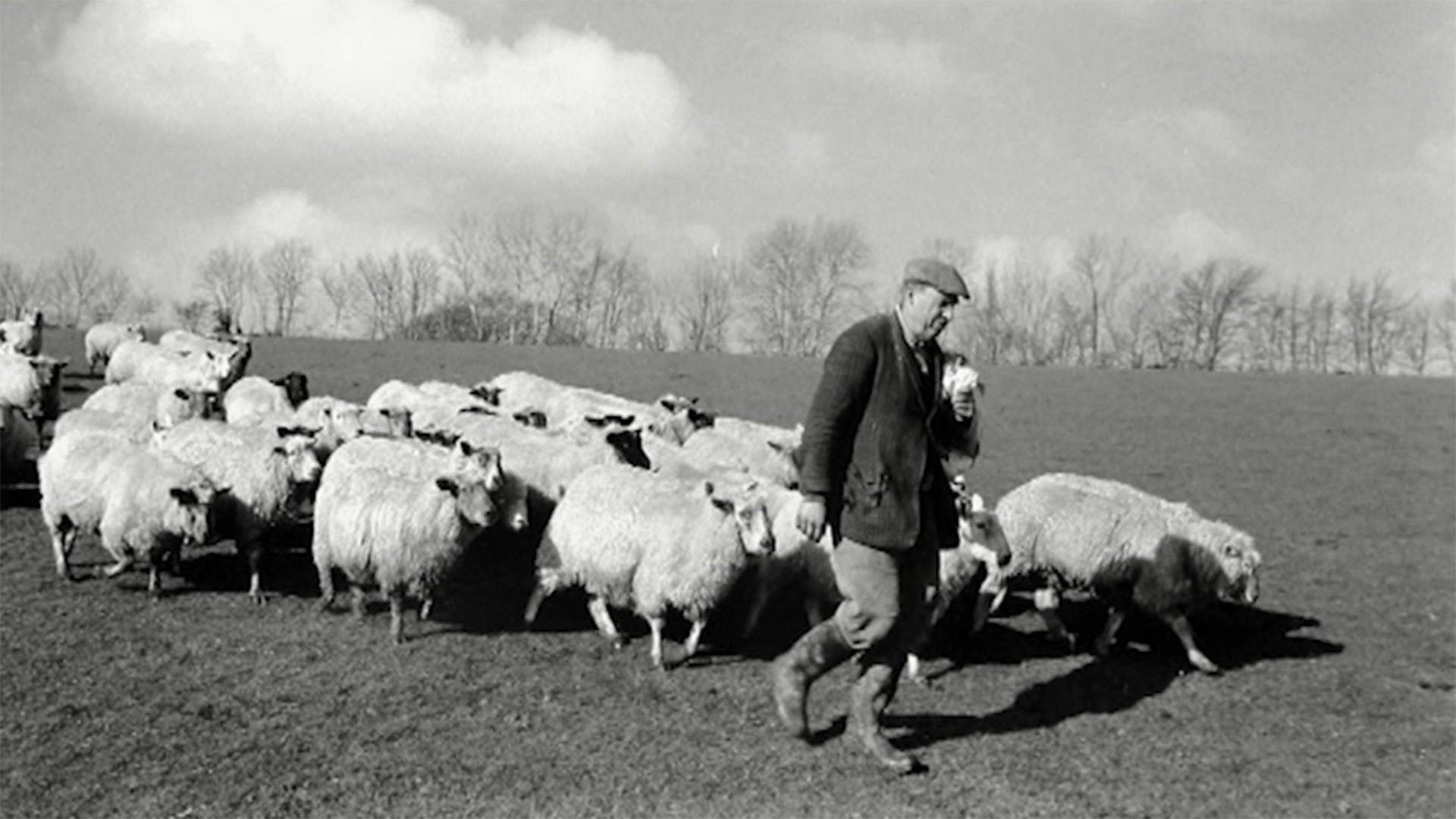 James Ravilious: A World in Photographs | ALL ARTS Documentary Selects ...