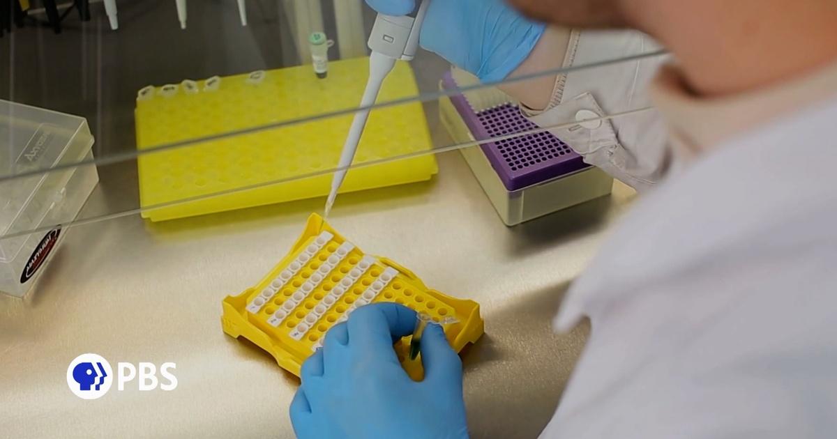 WVIA Special Presentations | Your DNA Secrets Revealed | PBS WVIA Special Presentations | Your DNA Secrets Revealed | PBS