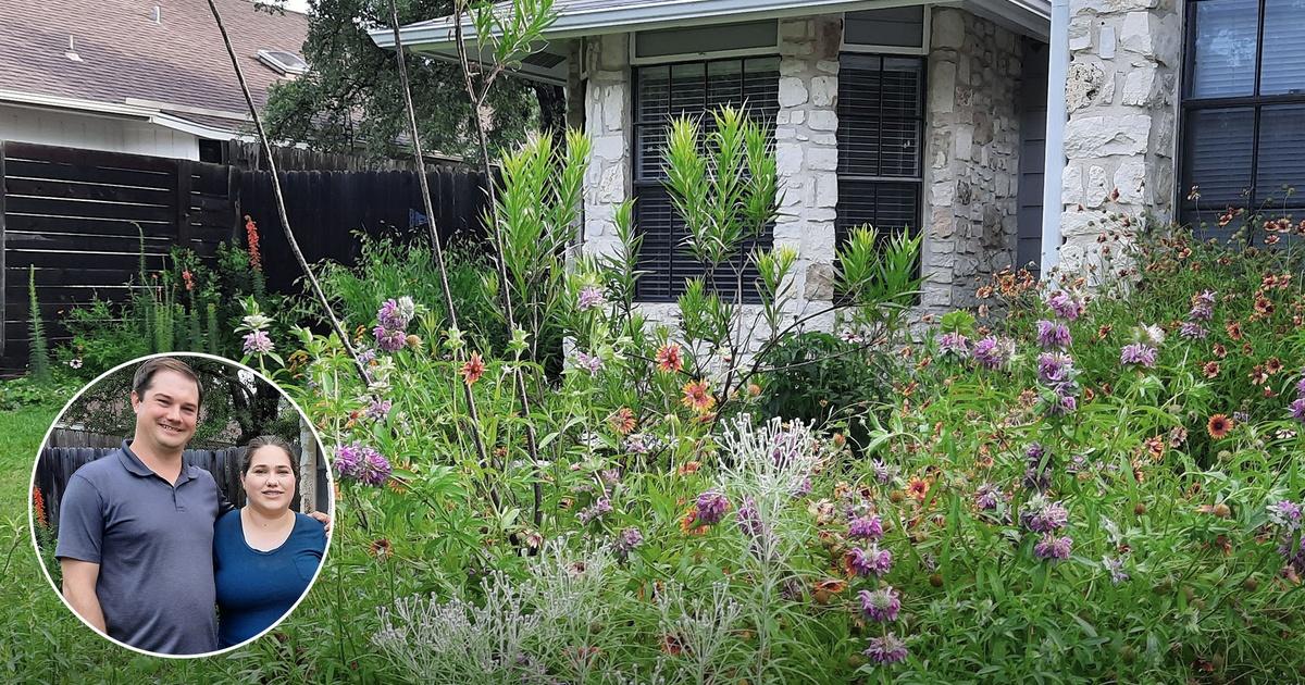Central Texas Gardener | Front Yard Native Plant Wildlife Habitat ...