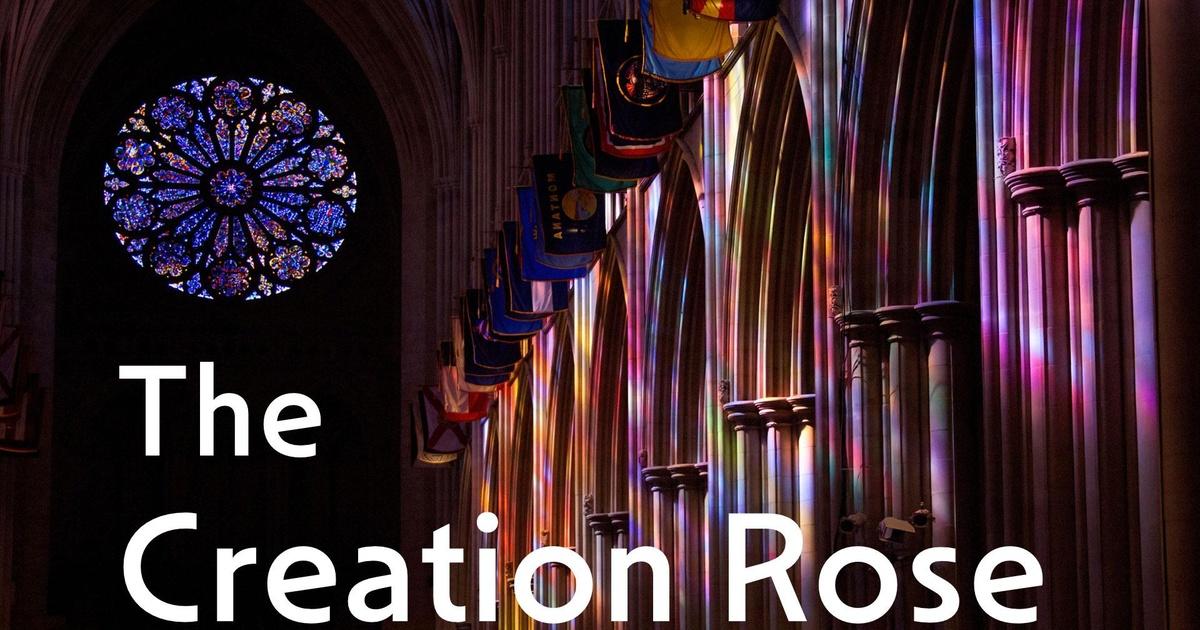 The Creation Rose | PBS