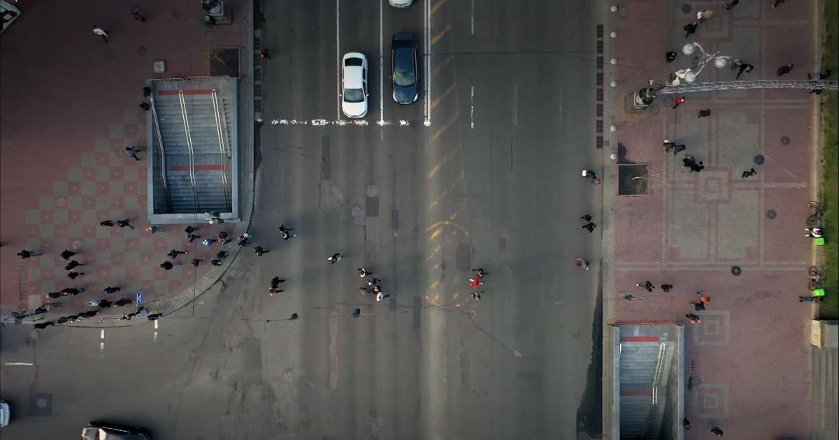 The Gene | The Most Human Thing We Have in Common | PBS