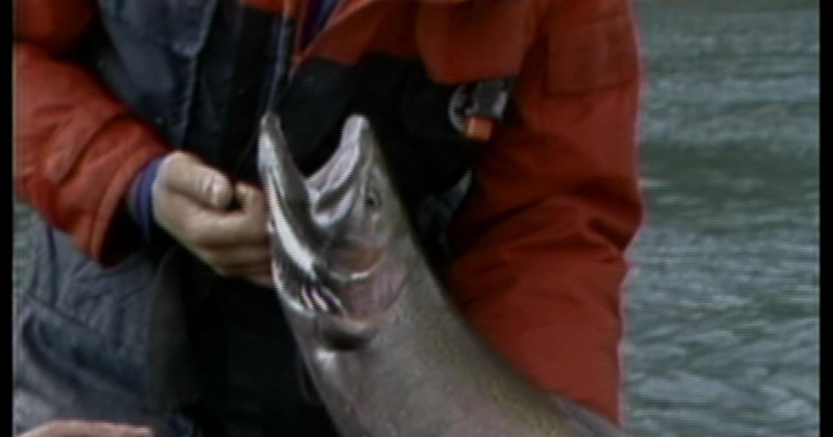 Rod & Reel Streamside | Trophy Steelhead | Season 4 | PBS