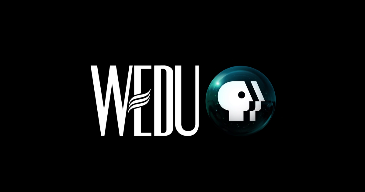 WEDU Presents | December 2020 Highlights | PBS