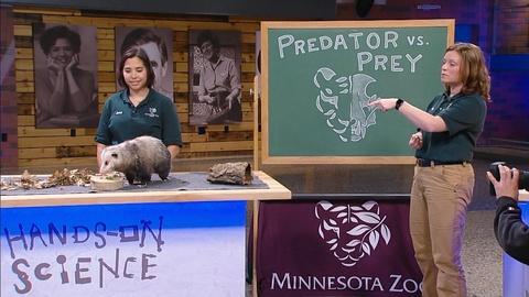 Hands-On Science | Physics Force | PBS