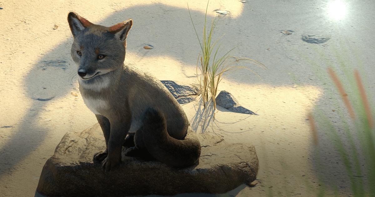 Eons | Darwin Missed An Example of Evolution Right Under His Nose ...