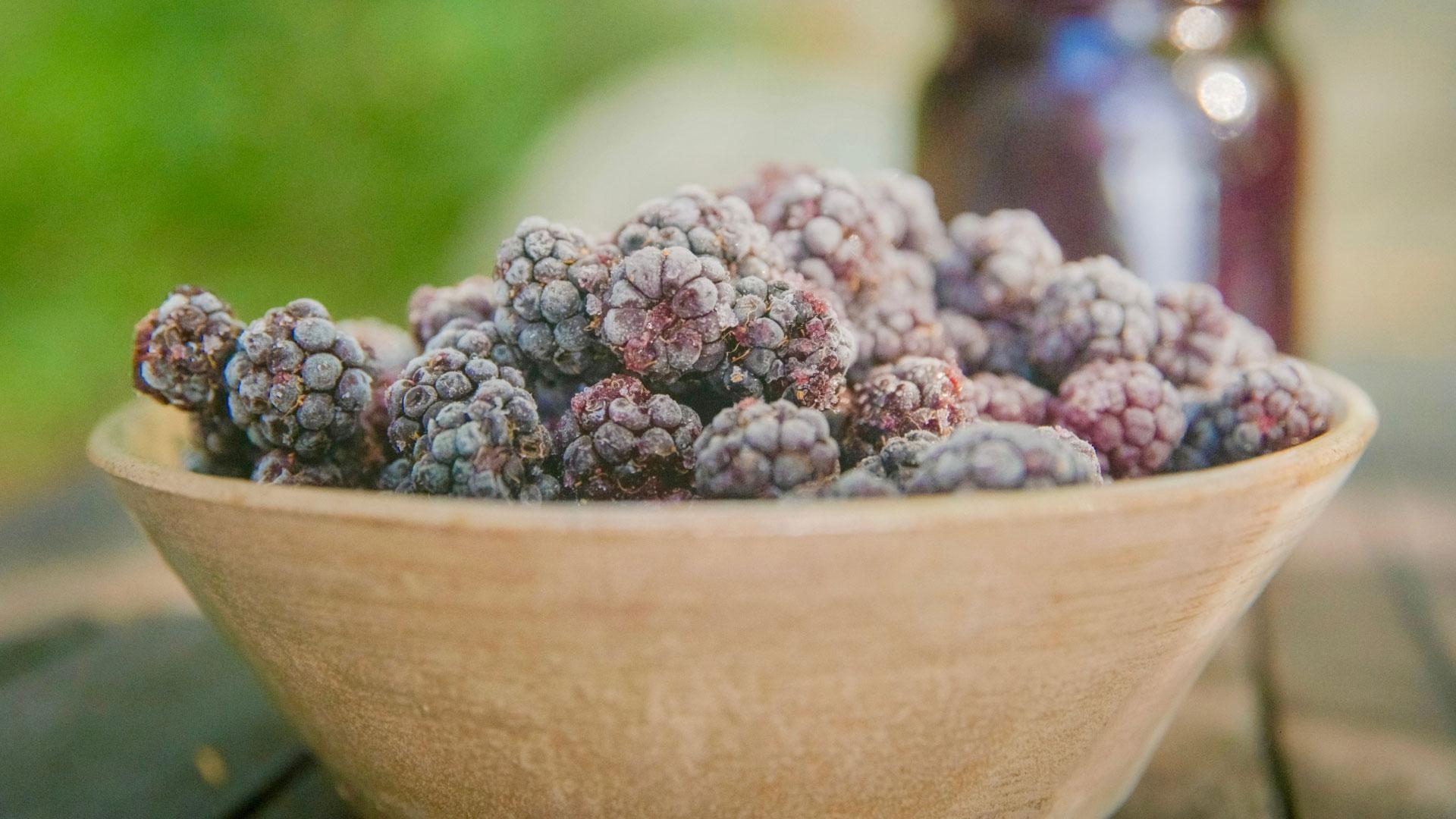 Blackberry | Les Stroud's Wild Harvest | THIRTEEN - New York Public Media