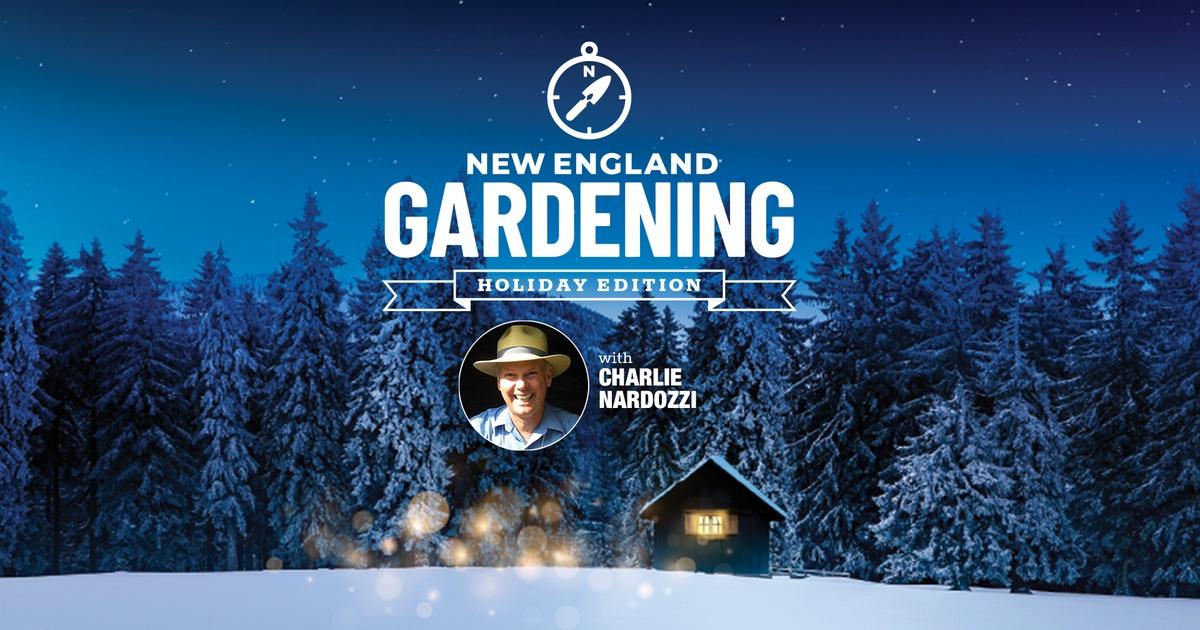 New England Gardening Holiday Edition with Charlie Nardozzi | PBS