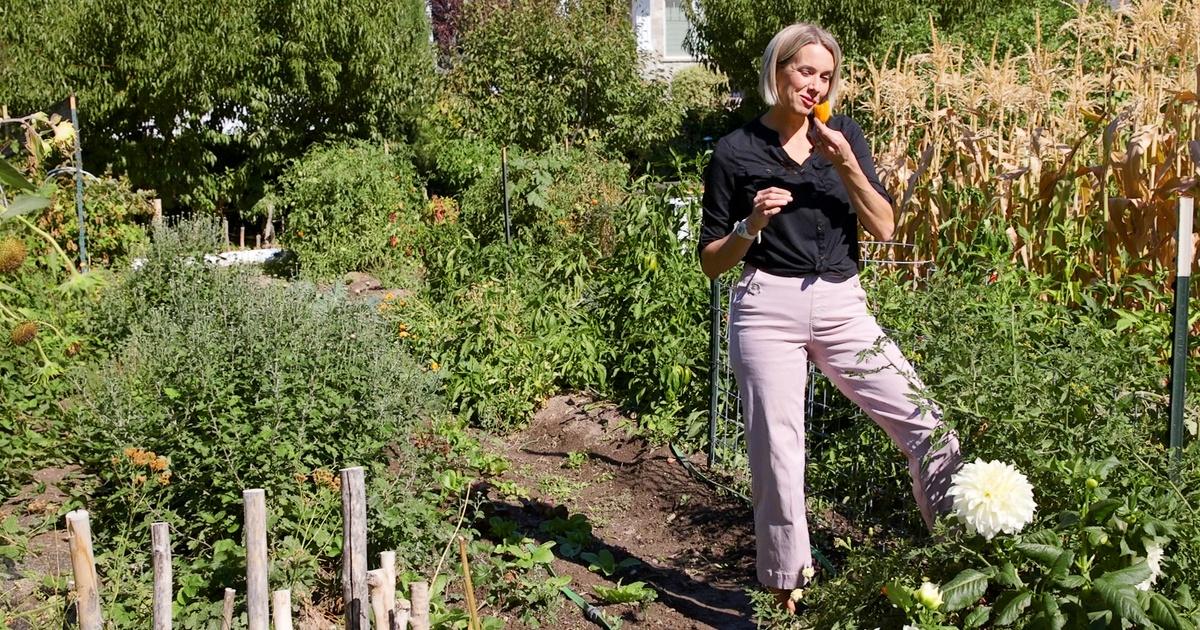 Modern Gardener | Garden Progression: Month of September | Episode 107 ...