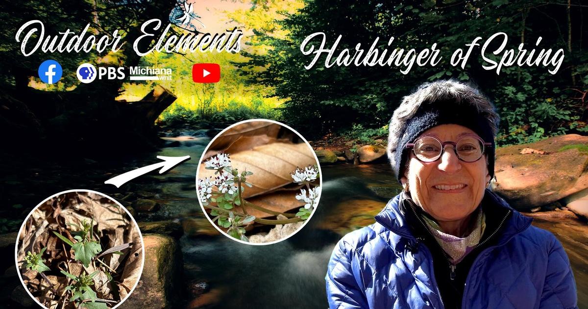 Outdoor Elements | Harbinger of Spring | PBS