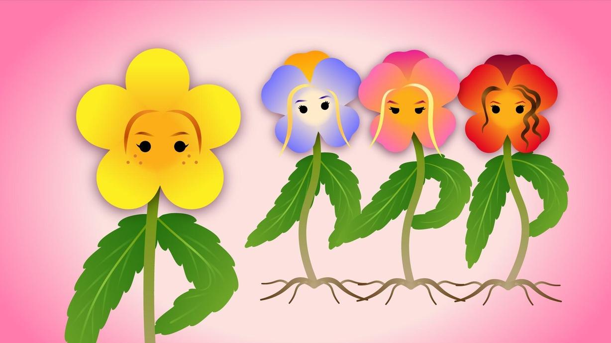 The Secret Social Lives of Plants | Watch Crash Course Botany on PBS ...